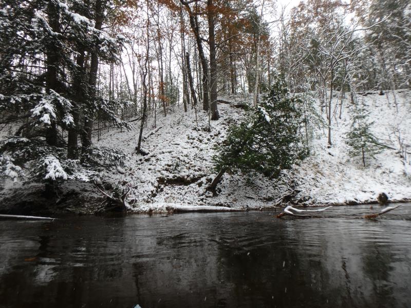 Stream Bank Erosion Site PM-246