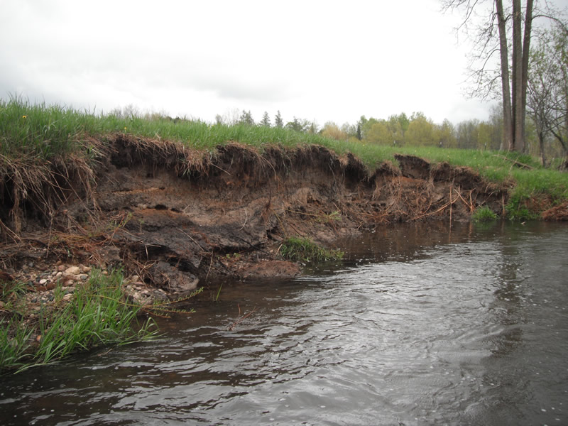 Stream Bank Erosion Site RIF_WB39