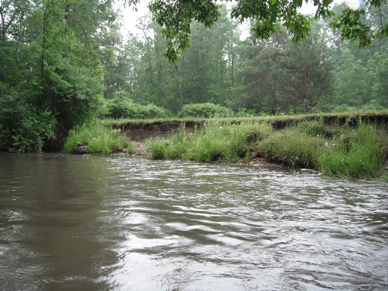 Stream Bank Erosion Site RIF_WB13A