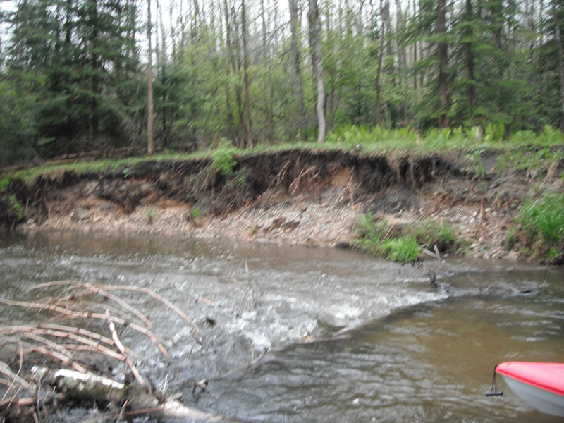 Stream Bank Erosion Site RIF_WB29