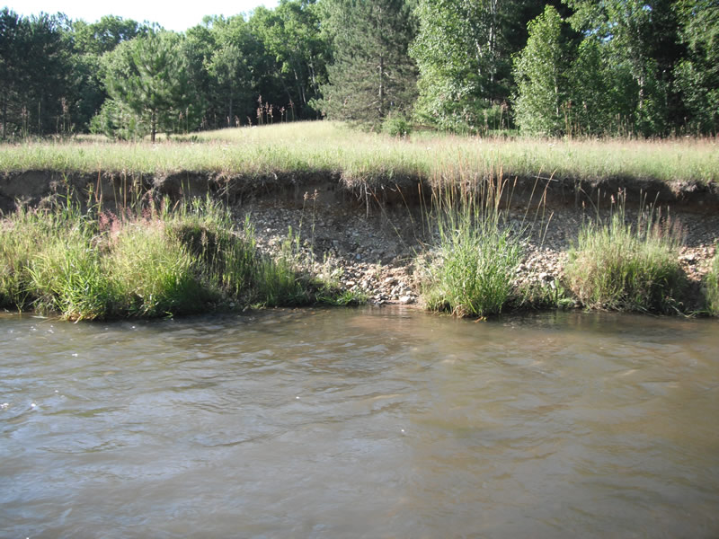 Stream Bank Erosion Site RIF_WB46