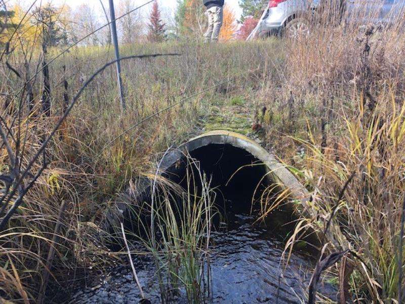 Road Stream Crossing Site GTBAY_BRD006