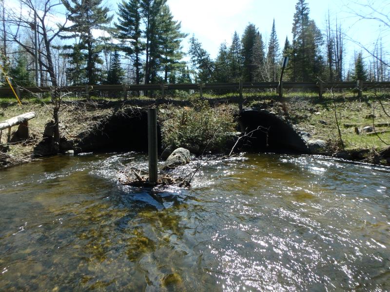 Road Stream Crossing Site GTBAY_BRD008