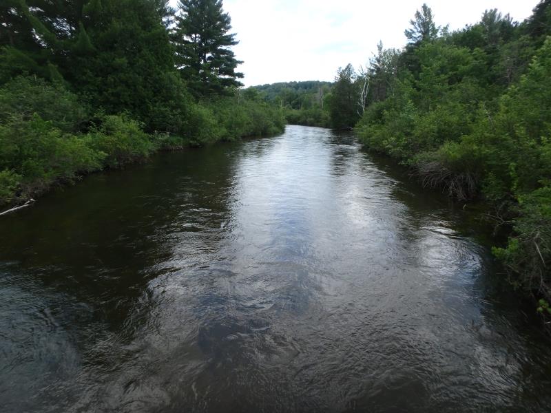 Road Stream Crossing Site GTBAY_BRD016