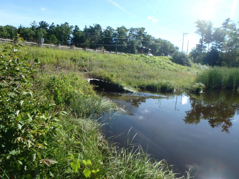 Road Stream Crossing Site GTBAY_BRD022