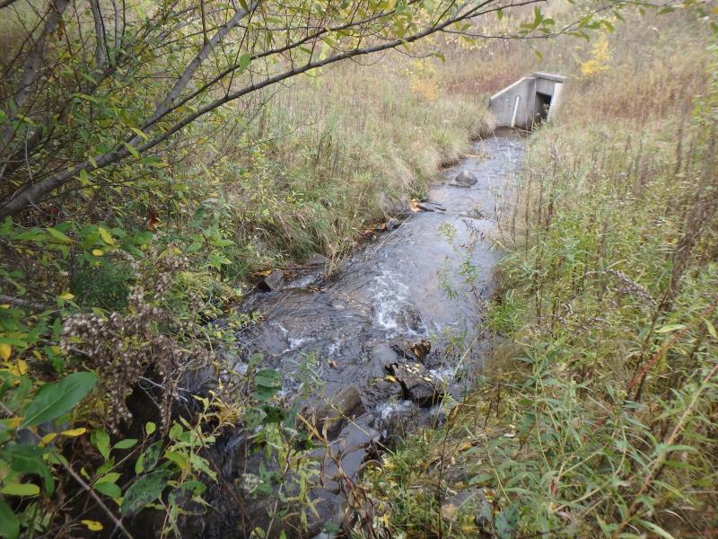 Road Stream Crossing Site GTBAY_BRD024