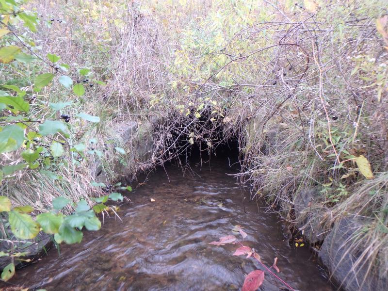 Road Stream Crossing Site GTBAY_BRD024