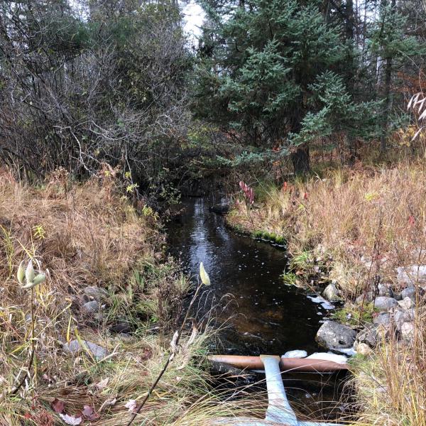 Road Stream Crossing Site GTBAY_BRD025