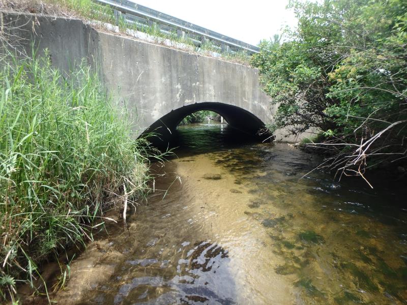 Road Stream Crossing Site GTBAY_BRD026