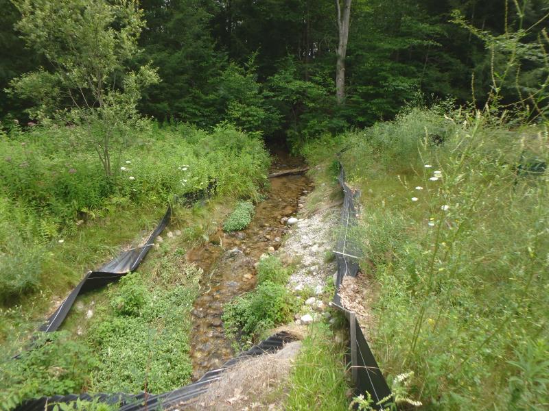 Road Stream Crossing Site MAN_HC006