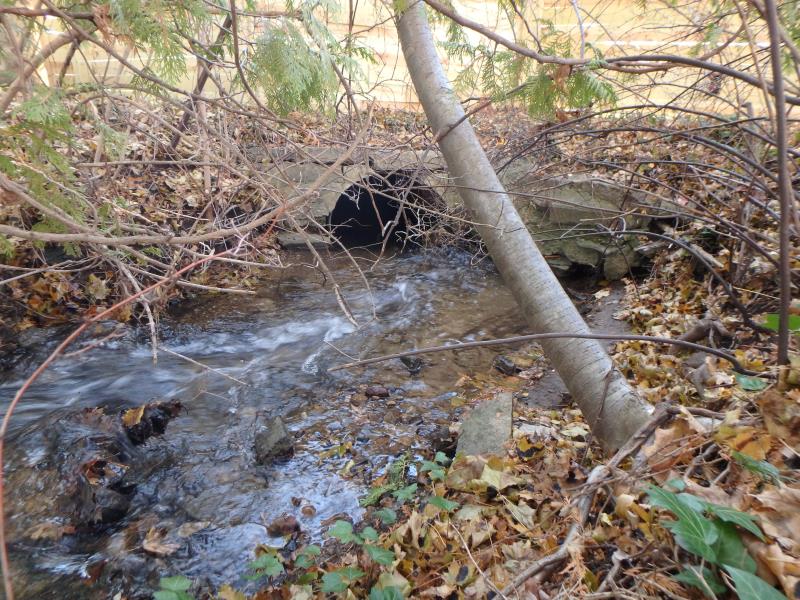 Road Stream Crossing Site GTBAY_KC003