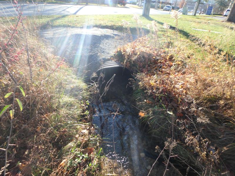 Road Stream Crossing Site GTBAY_KC004