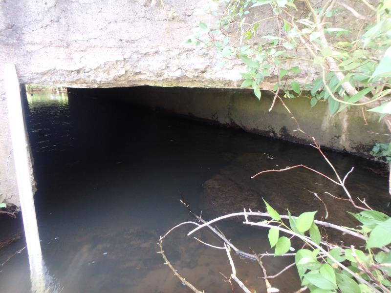 Road Stream Crossing Site GTBAY_KC011