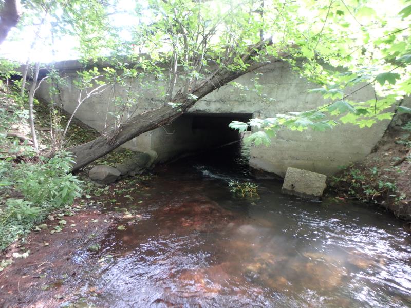 Road Stream Crossing Site GTBAY_KC024