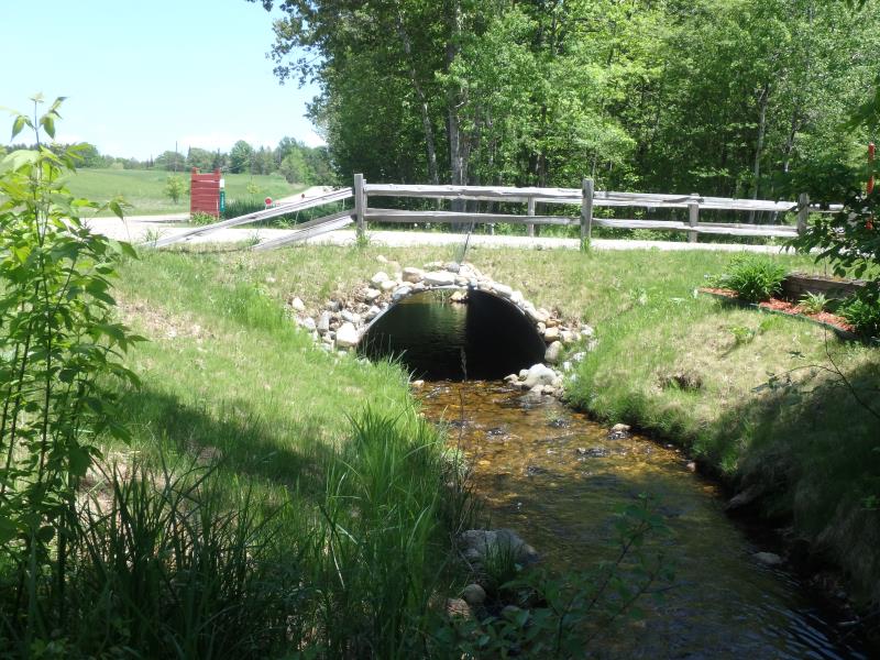 Road Stream Crossing Site RIF_OG213