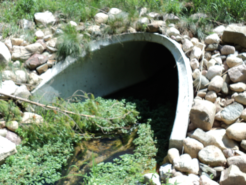Road Stream Crossing Site PM_L013