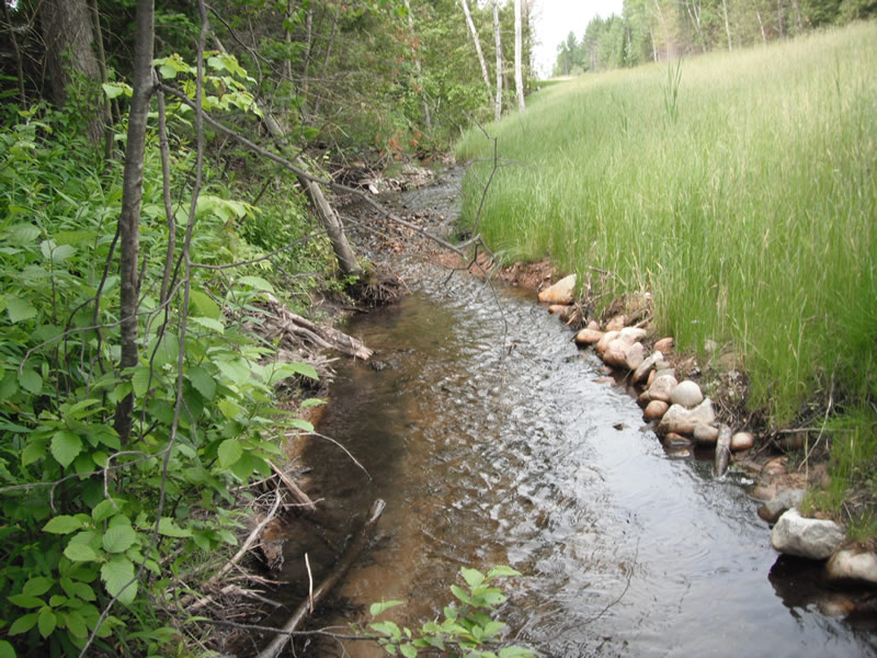 Road Stream Crossing Site RIF_OG240