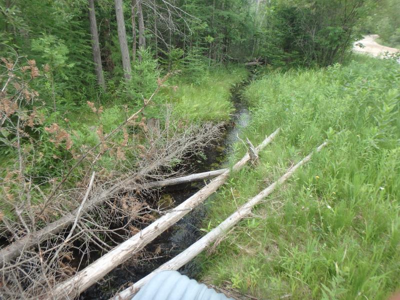 Road Stream Crossing Site GTBAY_S053