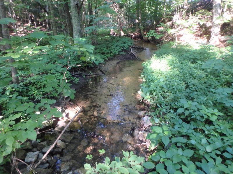 Road Stream Crossing Site GTBAY_S060