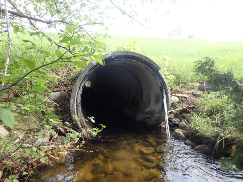 Road Stream Crossing Site GTBAY_S424