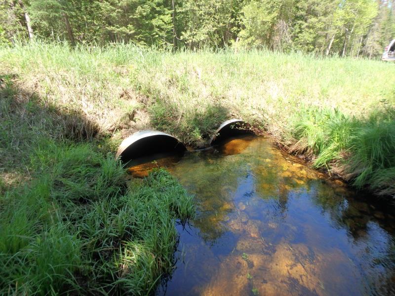 Road Stream Crossing Site GTBAY_S428
