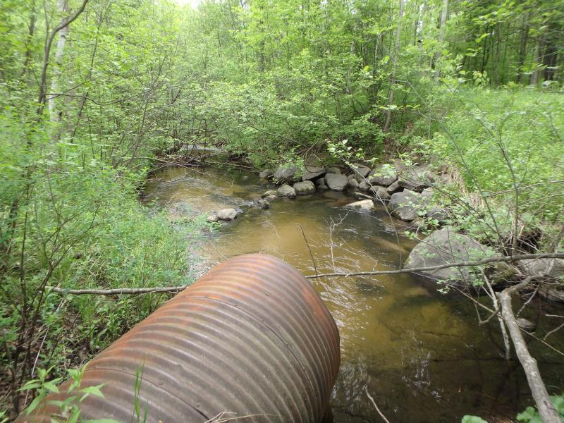 Road Stream Crossing Site GTBAY_S429