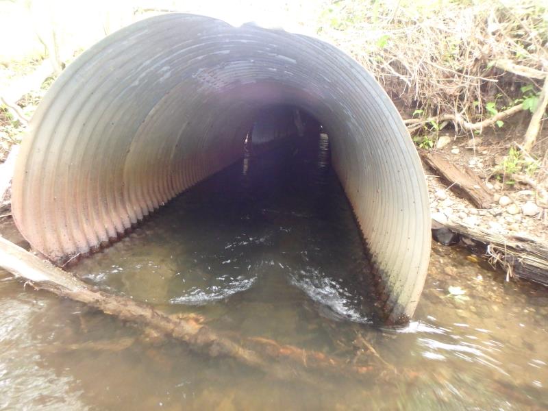 Road Stream Crossing Site GTBAY_S429