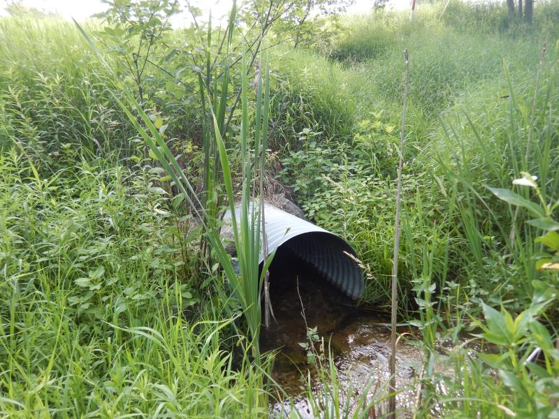 Road Stream Crossing Site GTBAY_S437