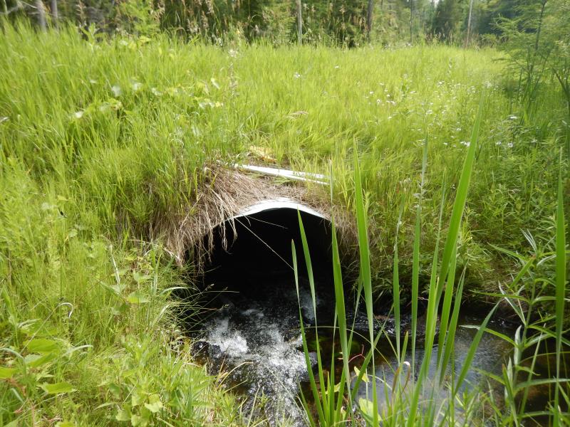 Road Stream Crossing Site GTBAY_S439