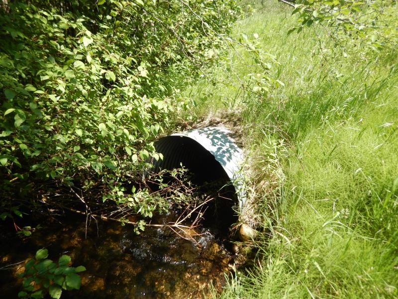 Road Stream Crossing Site GTBAY_S441
