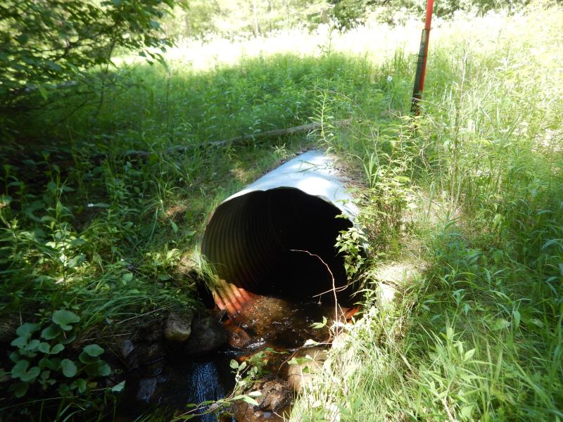 Road Stream Crossing Site GTBAY_S453