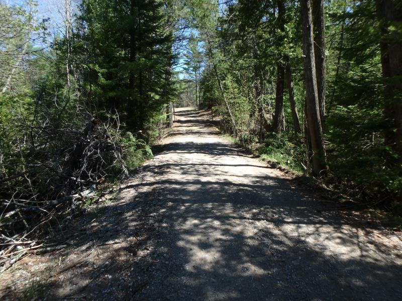 Road Stream Crossing Site GTBAY_S700