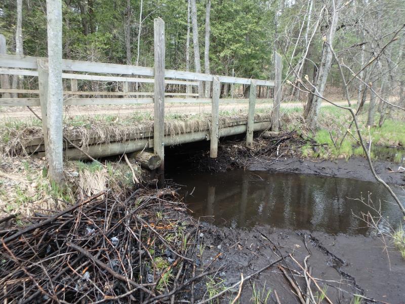 Road Stream Crossing Site GTBAY_S709