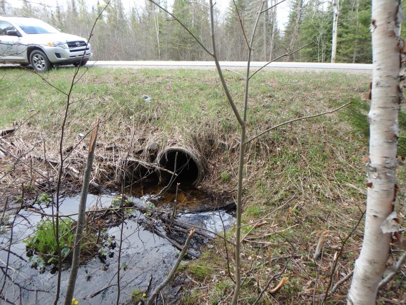 Road Stream Crossing Site GTBAY_S710