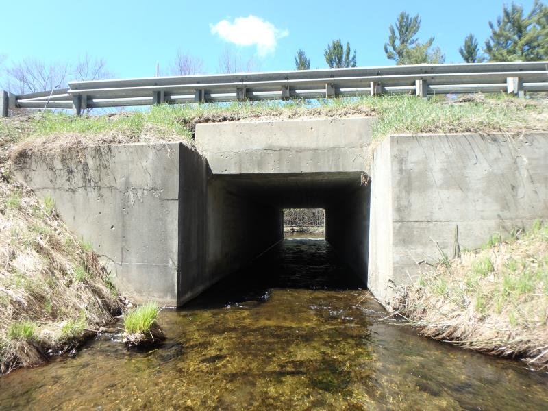 Road Stream Crossing Site GTBAY_S719