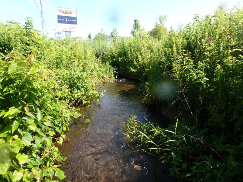 Road Stream Crossing Site GTBAY_S828
