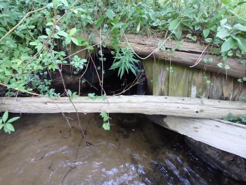 Road Stream Crossing Site GTBAY_S837