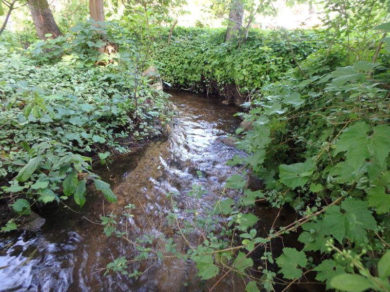 Road Stream Crossing Site GTBAY_S837