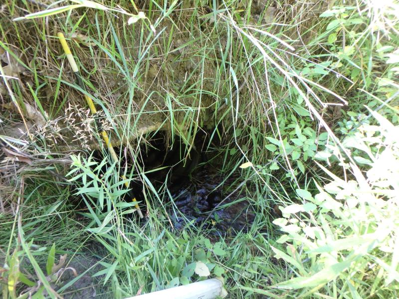 Road Stream Crossing Site GTBAY_S871