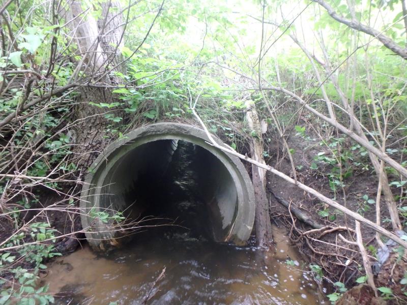 Road Stream Crossing Site GTBAY_S913