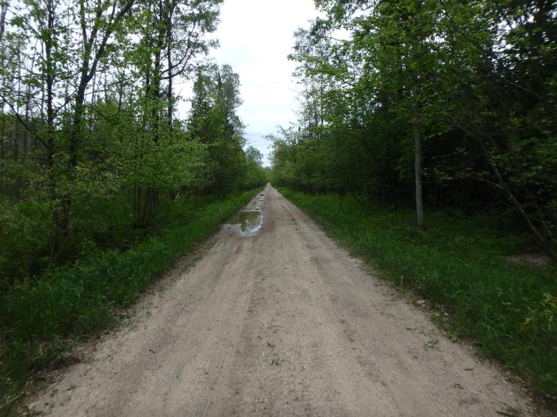 Road Stream Crossing Site GTBAY_S931