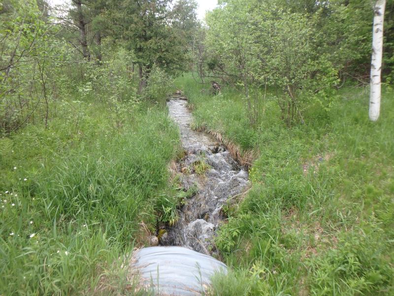 Road Stream Crossing Site GTBAY_S942