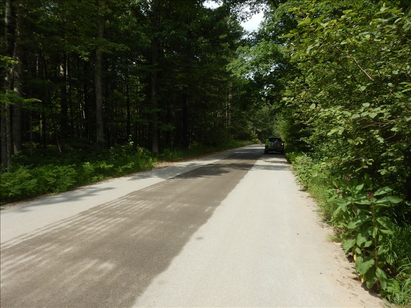 Road Stream Crossing Site LM49