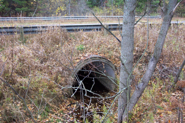 Road Stream Crossing Site LM40