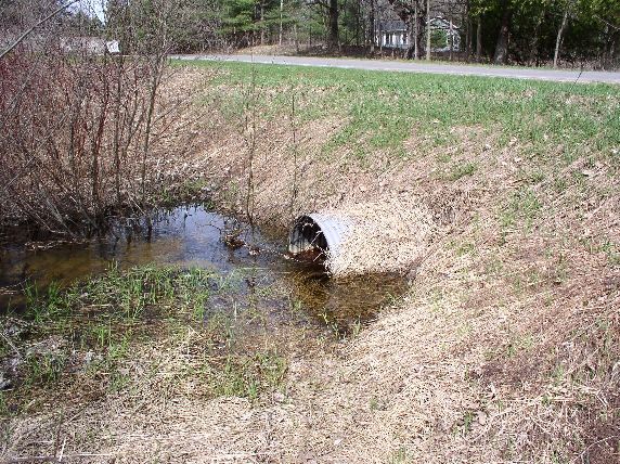 Road Stream Crossing Site P002