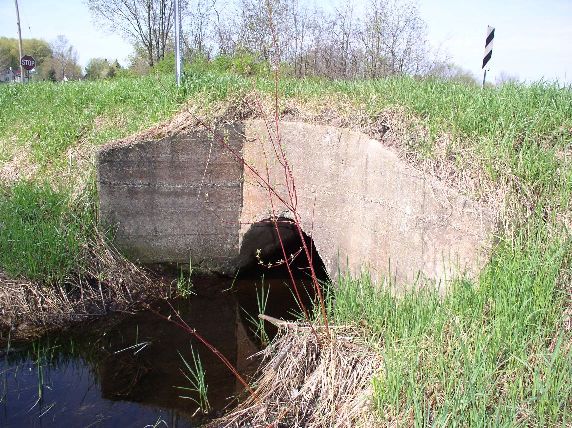 Road Stream Crossing Site P010