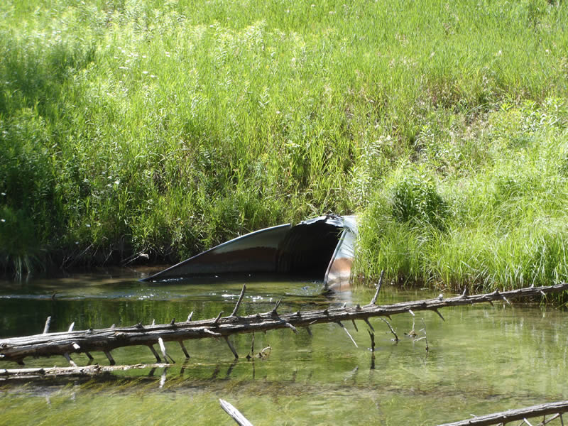 Road Stream Crossing Site PLT-A-4