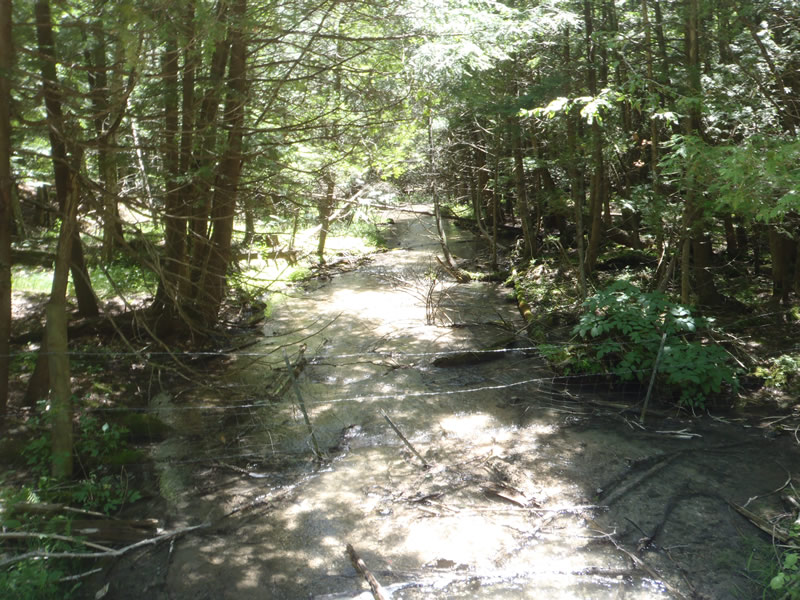 Road Stream Crossing Site PLT-A-6
