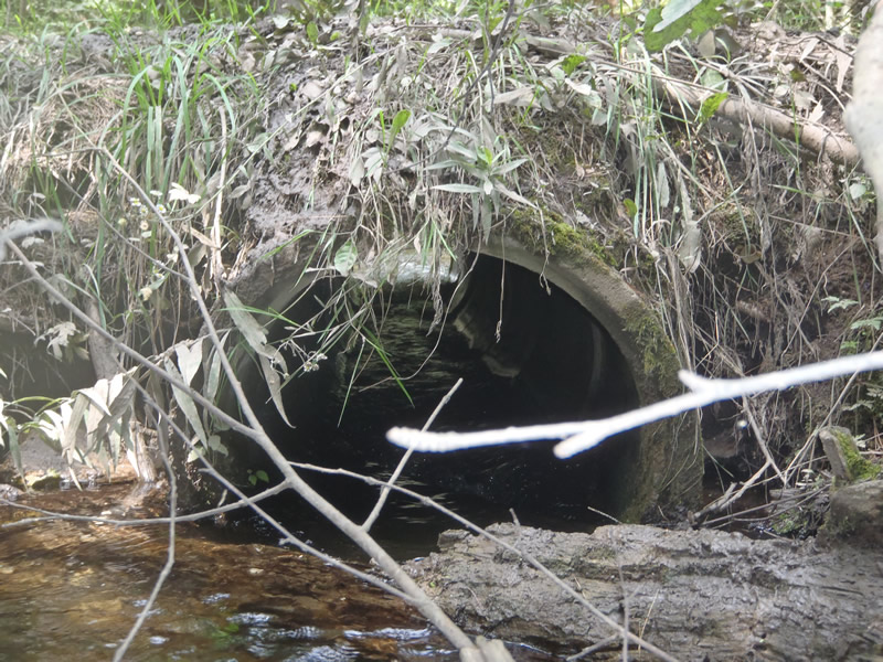 Road Stream Crossing Site PLT-I-17