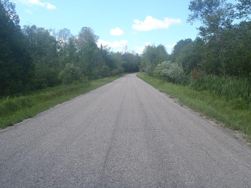 Road Stream Crossing Site PLT-P-4